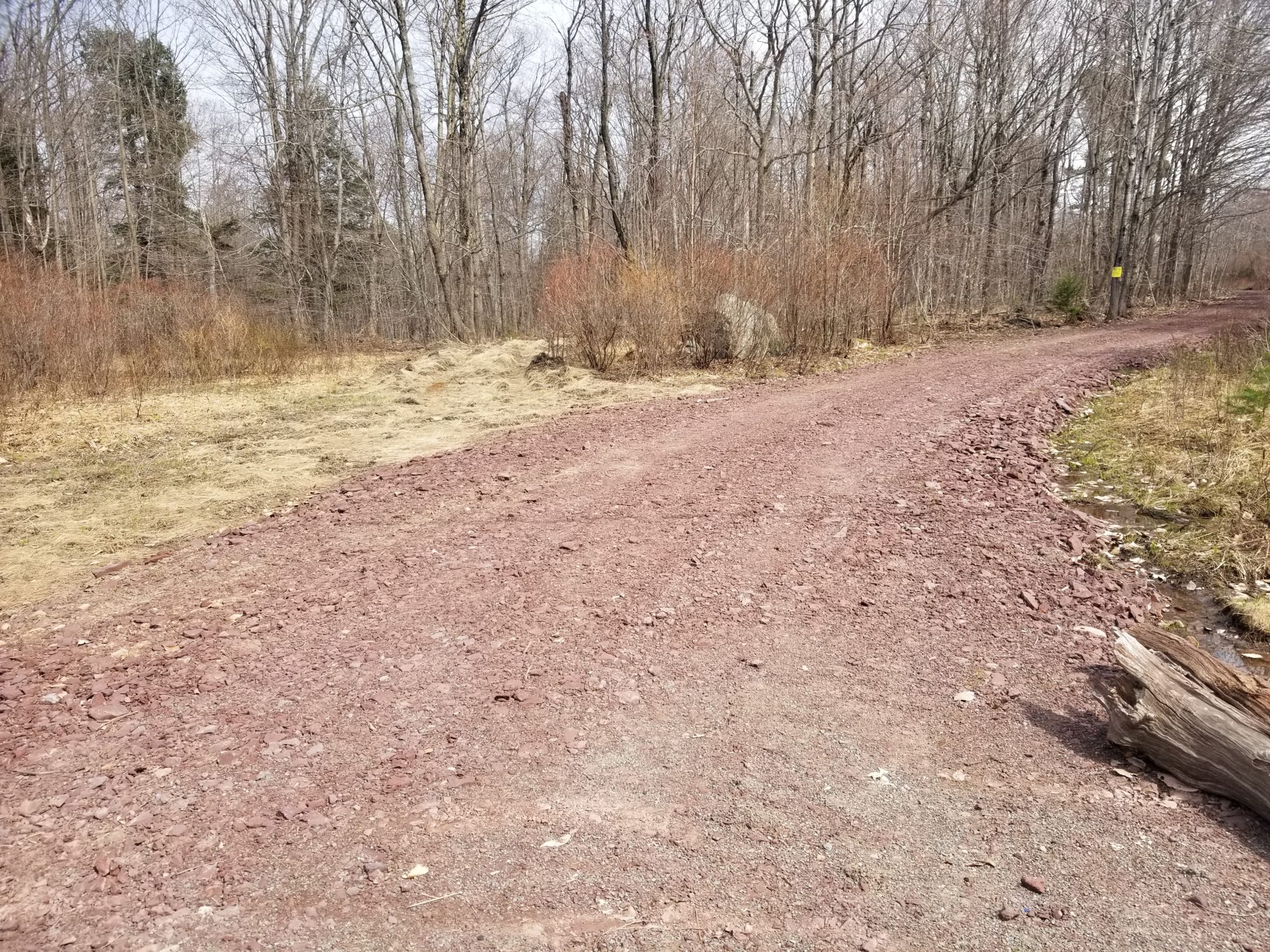 Ceiling, Circuits, Swing, Site, And WOG – HomeBox Life